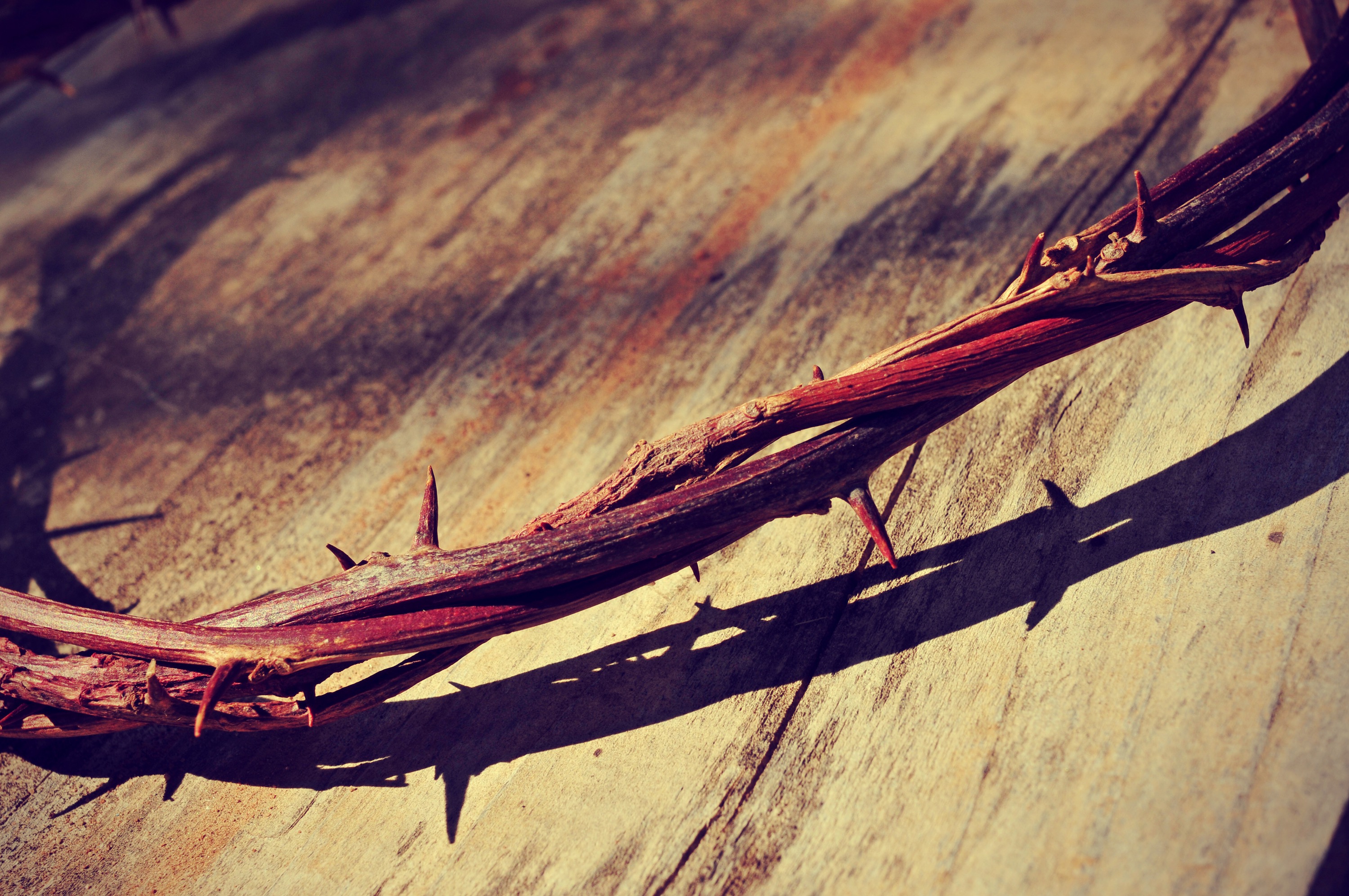 Lent Project: Personal… – Rebekah's World